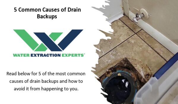 5 Common Causes of Drain Backups - Water Extraction Experts