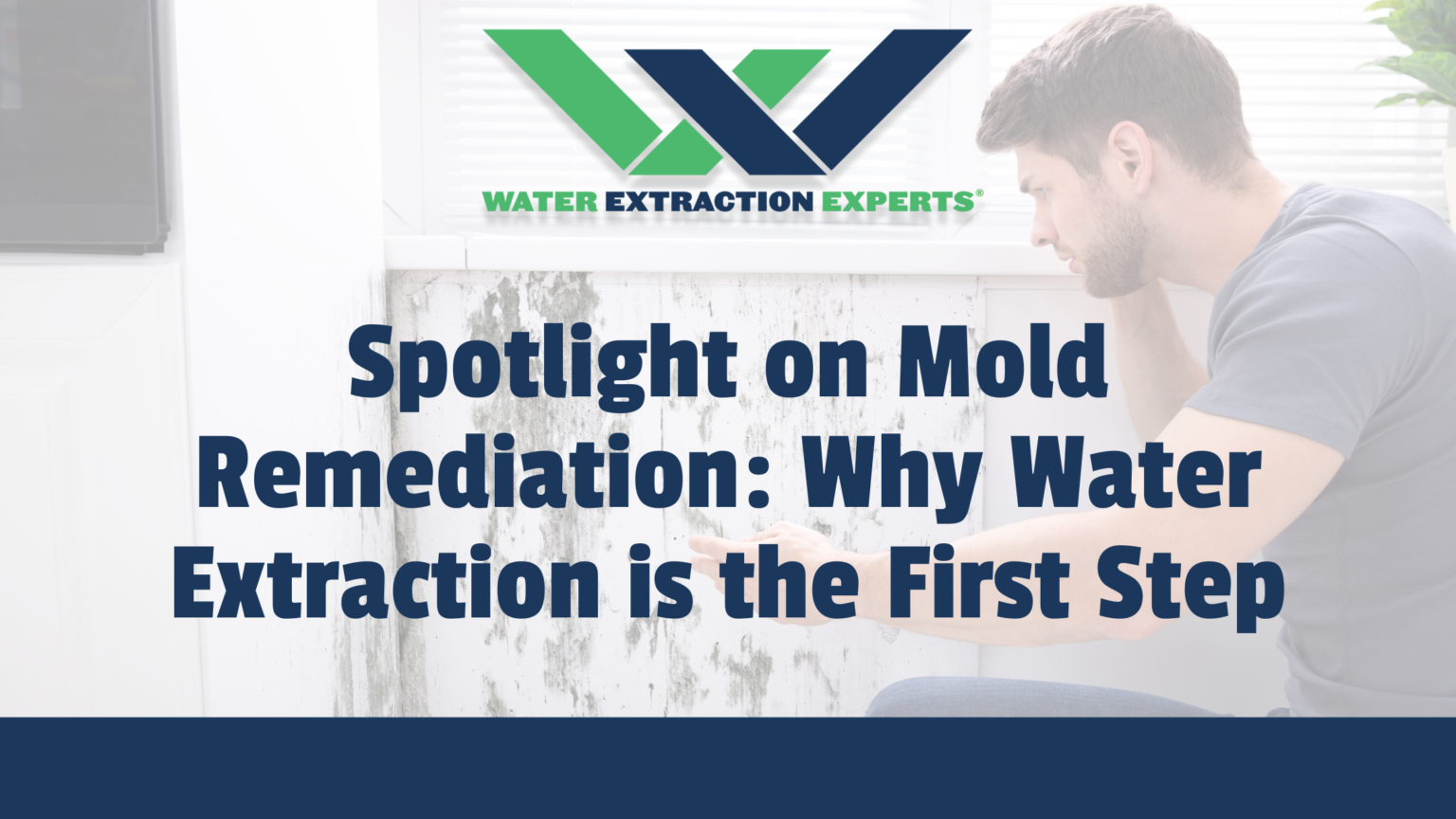 Spotlight on Mold Remediation: Why Water Extraction is the First Step ...