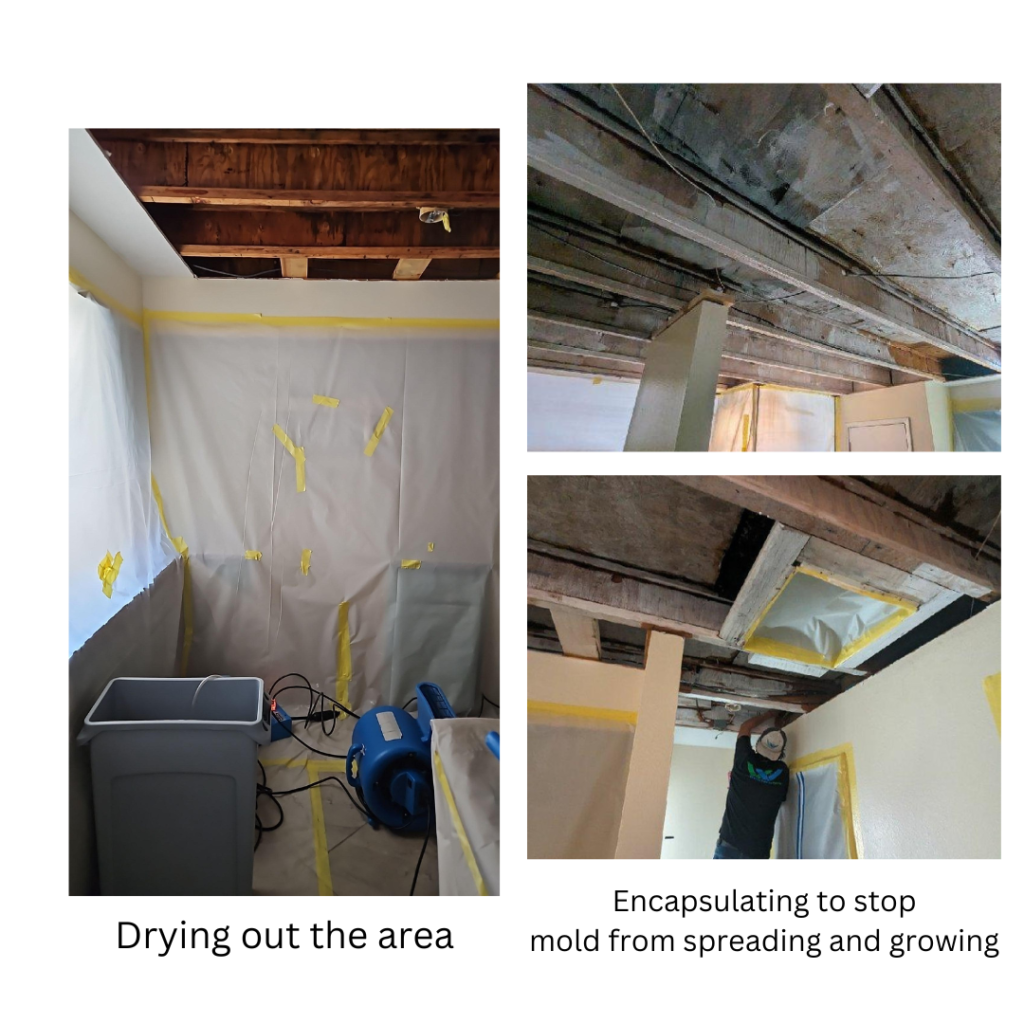 Turning a Water Disaster Around - The Journey of Restoration - Water ...