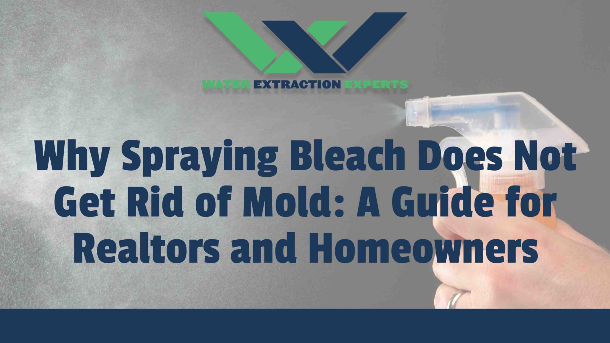 Why Spraying Bleach Does Not Get Rid of Mold: A Guide for Realtors and ...