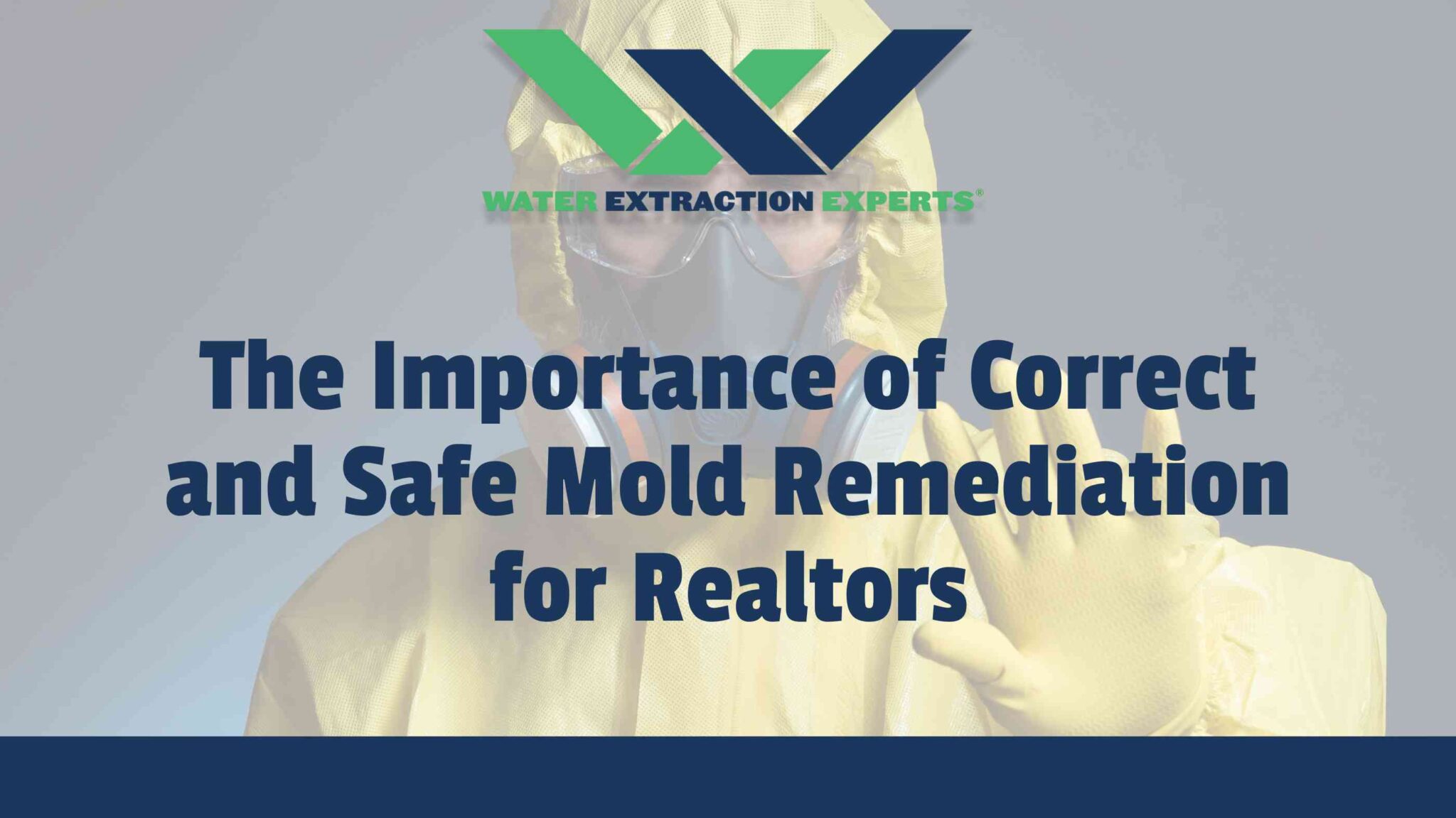 The Importance of Correct and Safe Mold Remediation for Realtors ...