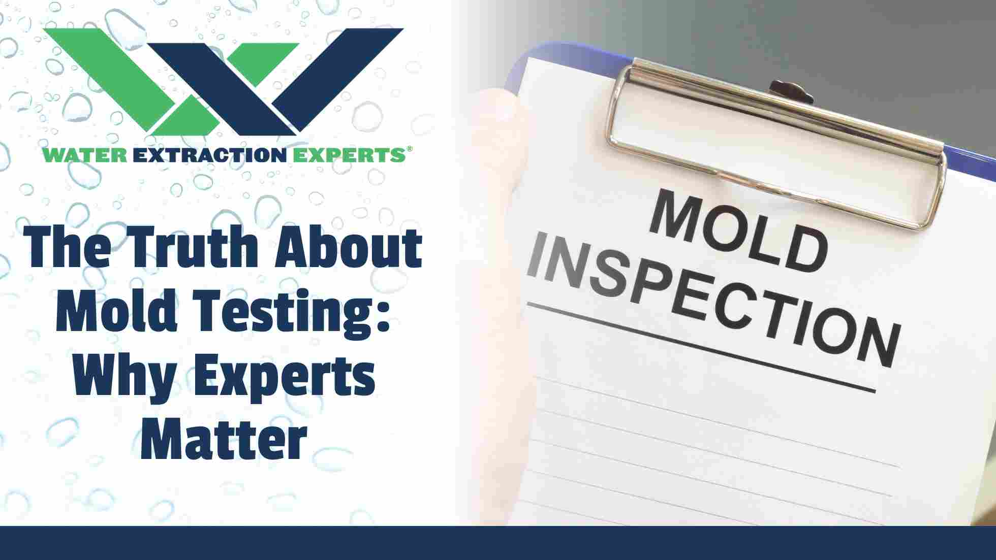 The Truth About Mold Testing: Why Experts Matter - Water Extraction Experts