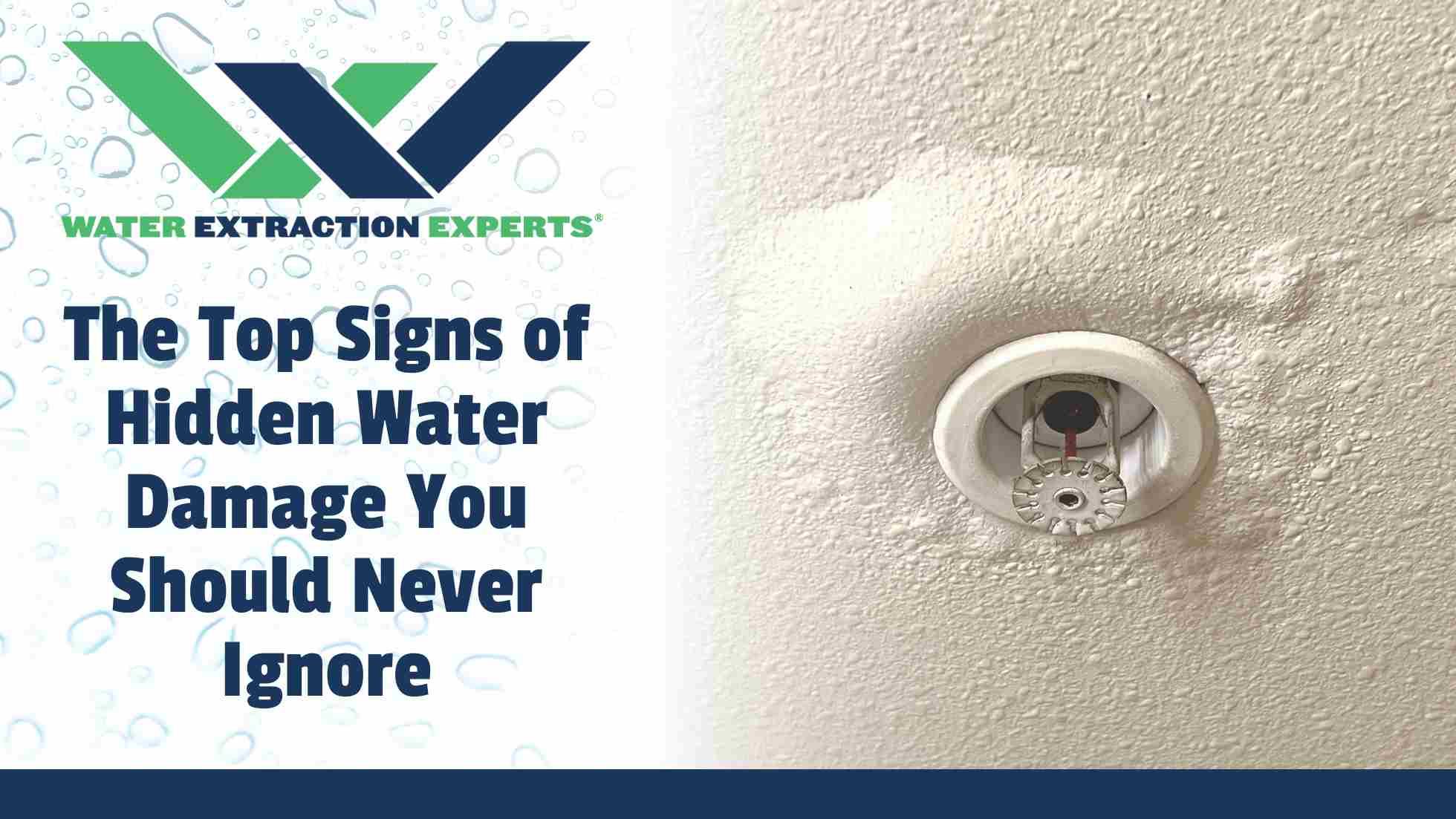 The Top Signs of Hidden Water Damage You Should Never Ignore - Water Extraction Experts