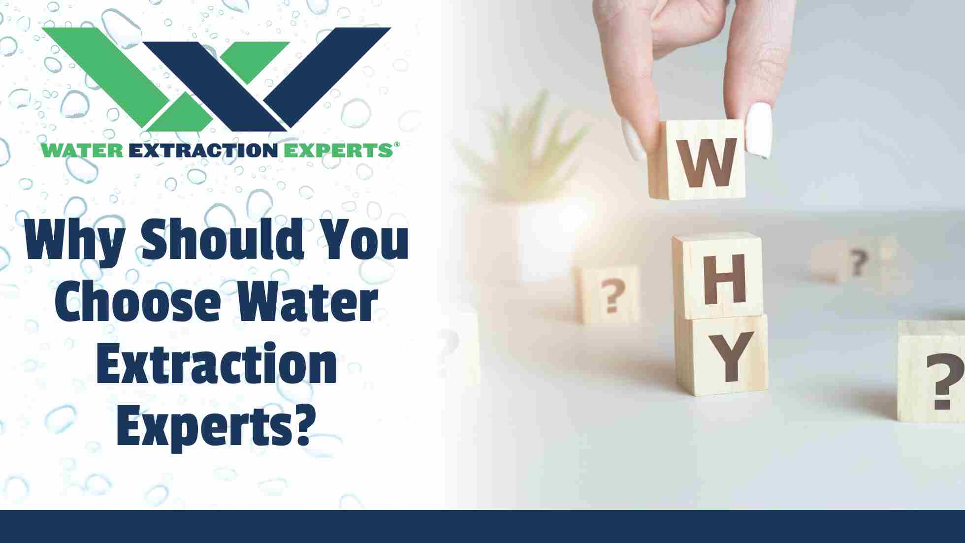 Why You Should Choose Water Extraction Experts Over Any Other Company ...