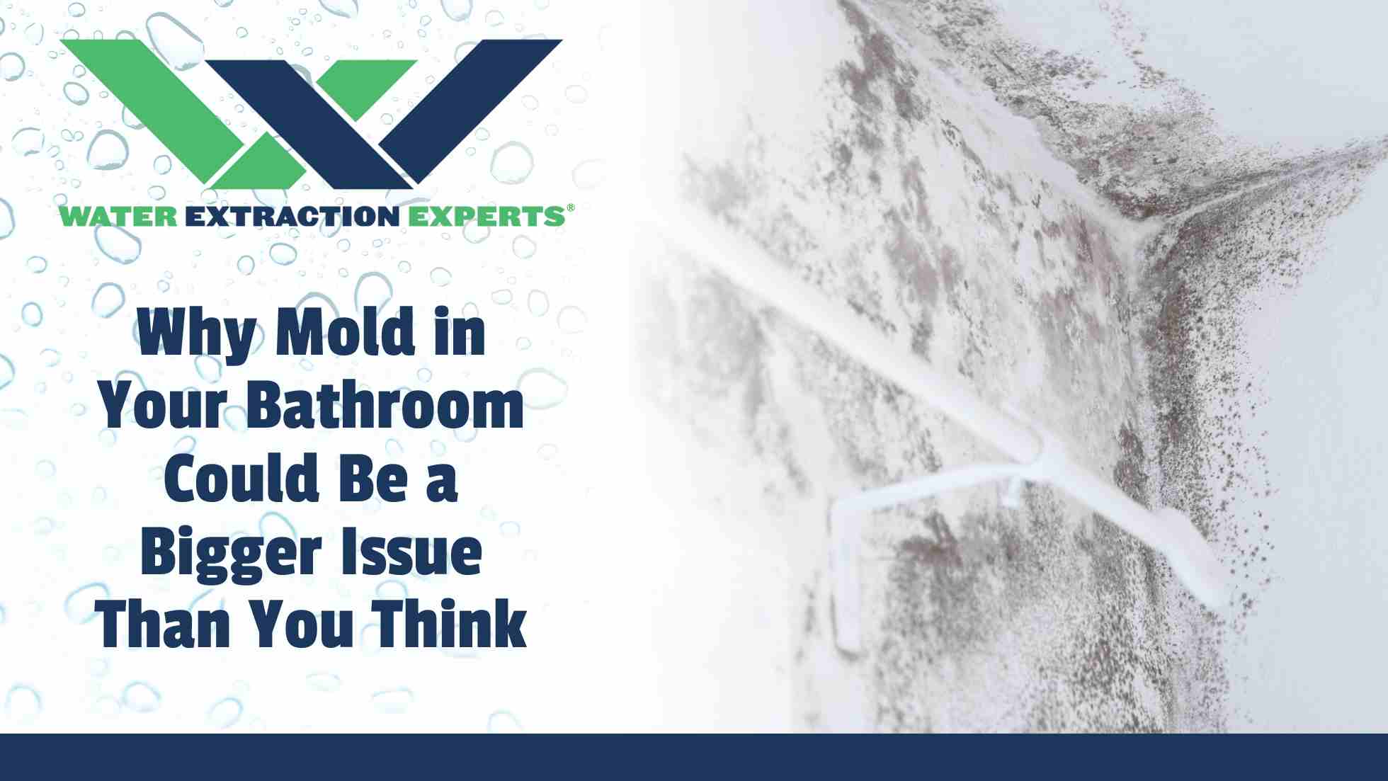 Why Mold in Your Bathroom Could Be a Bigger Issue Than You Think ...
