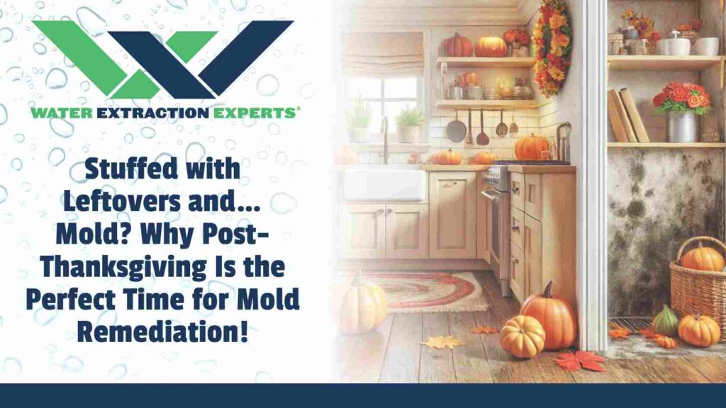 Stuffed with Leftovers and… Mold? Why Post-Thanksgiving Is the Perfect ...